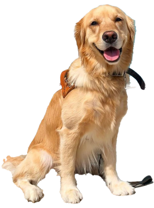 Guide Dogs of Hawaii